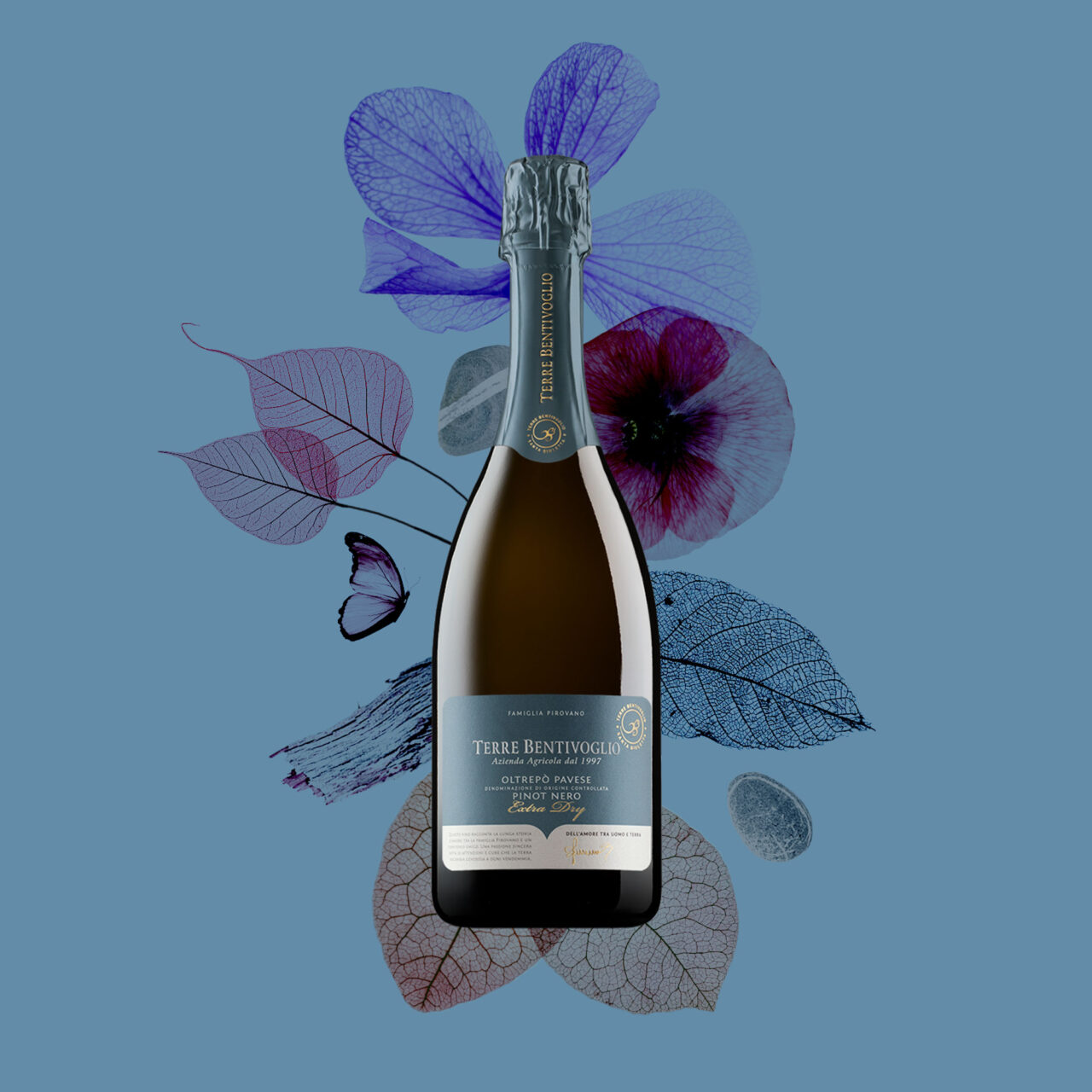 Il nostro Pinot Nero Extra Dry dell’Oltrepò Pavese | Terre Bentivoglio